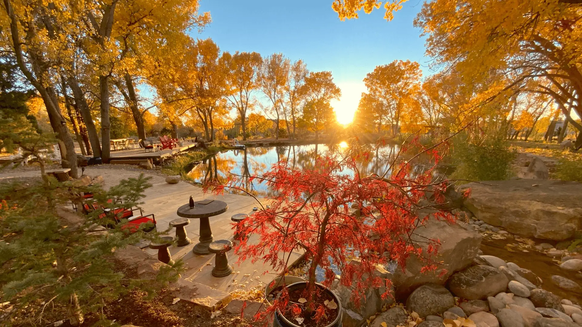 Magical Sundays - The SouthWest Sanctuary